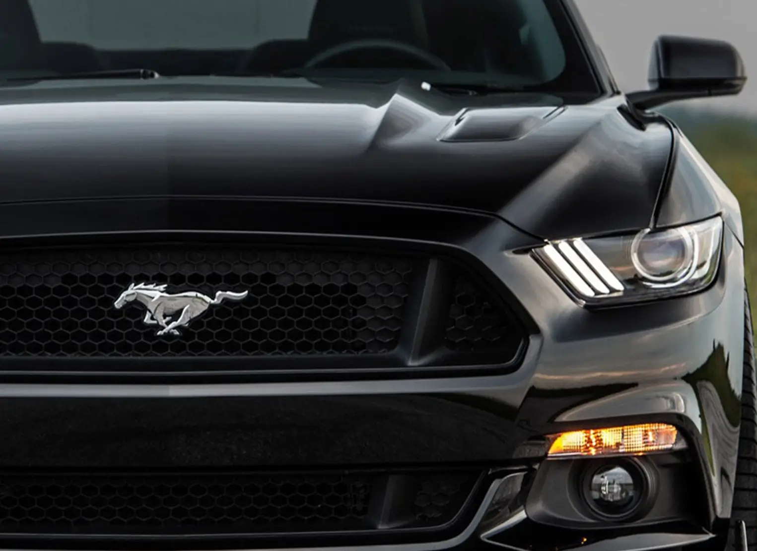 PUSLINCH Used Car Dealer | New and Used Car For Sale | GRAND AUTO GROUP INC